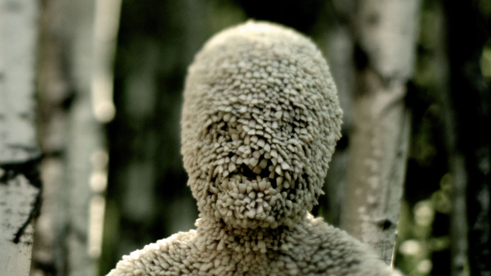 Channel Zero | Série de terror do Syfy é renovada para mais duas ...