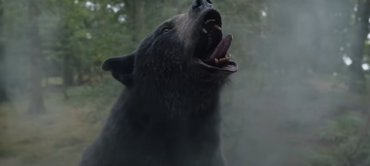 O Urso do Pó Branco ganha primeiro trailer extremamente inusitado - Jovem Nerd