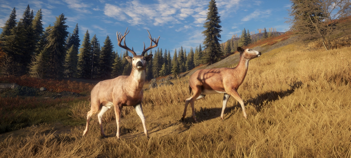 TheHunter: Call of the Wild está gratuito para PC - Jovem Nerd