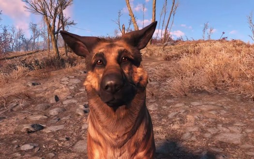 Conheça o verdadeiro cachorro de Fallout 4 - Jovem Nerd